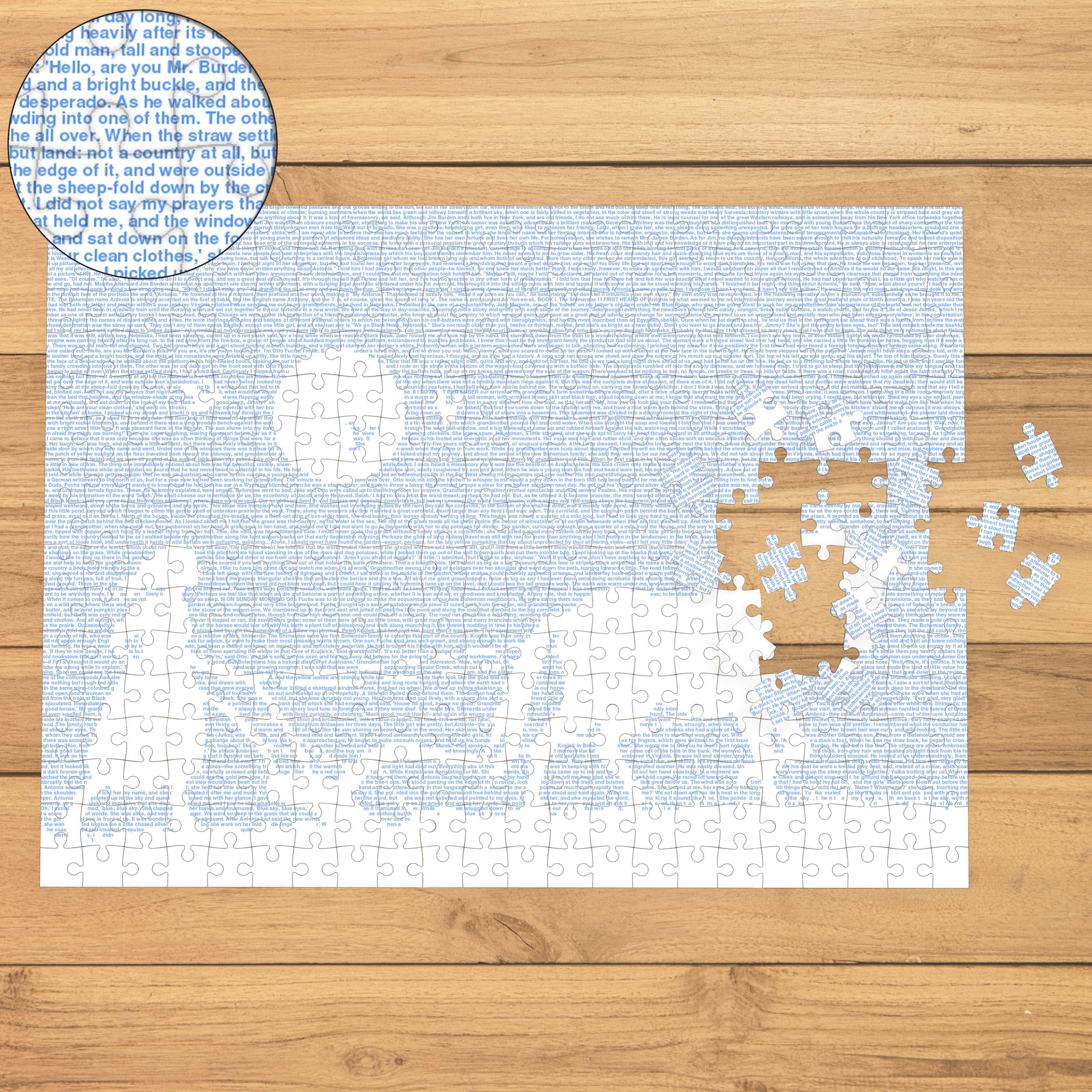 Litographs | My Antonia | Book Puzzle