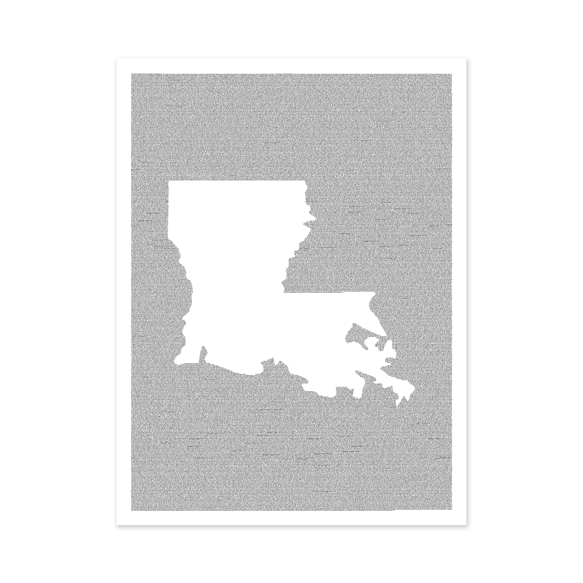 Litographs | Louisiana's Constitution | Book Poster