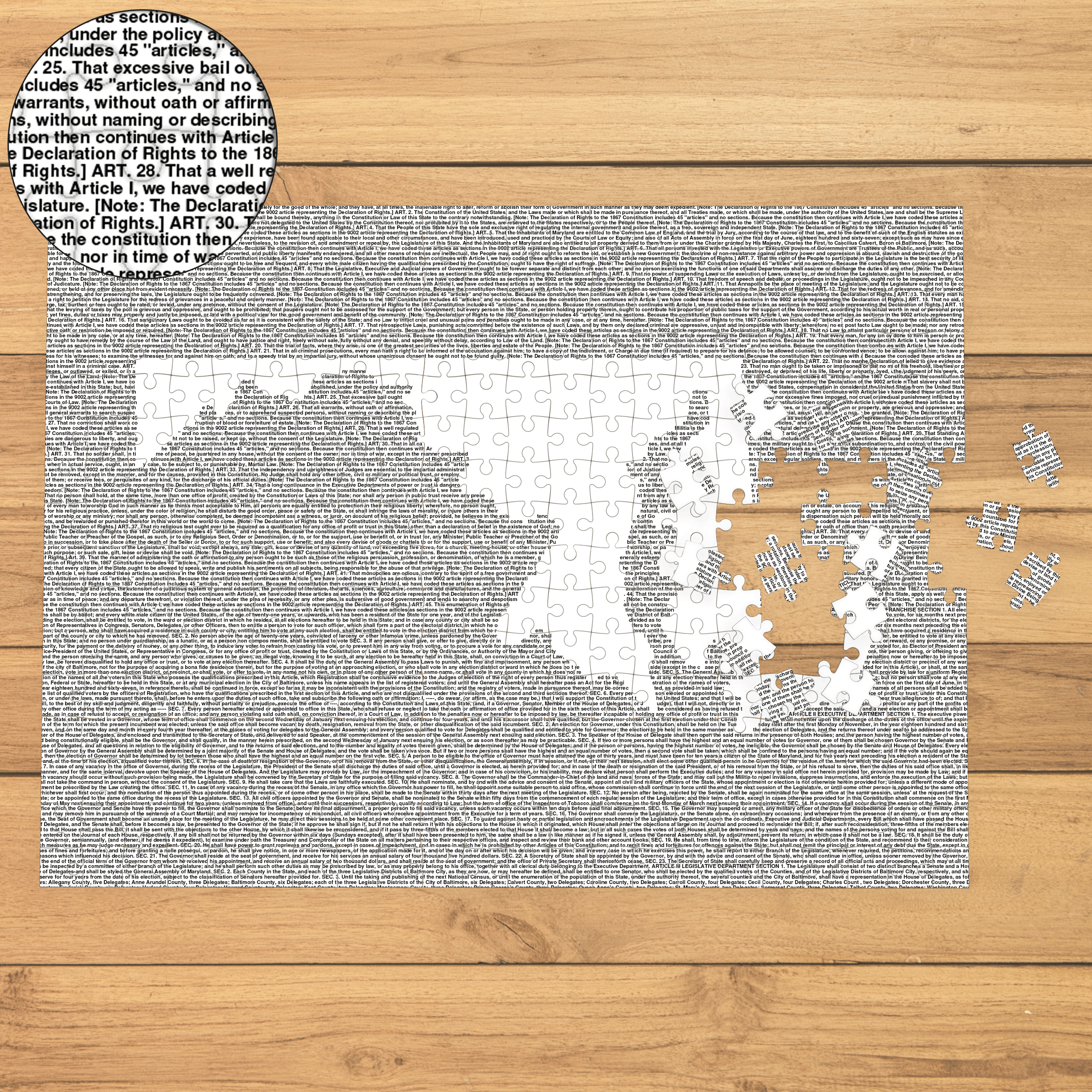 Litographs | Maryland's Constitution | Book Puzzle