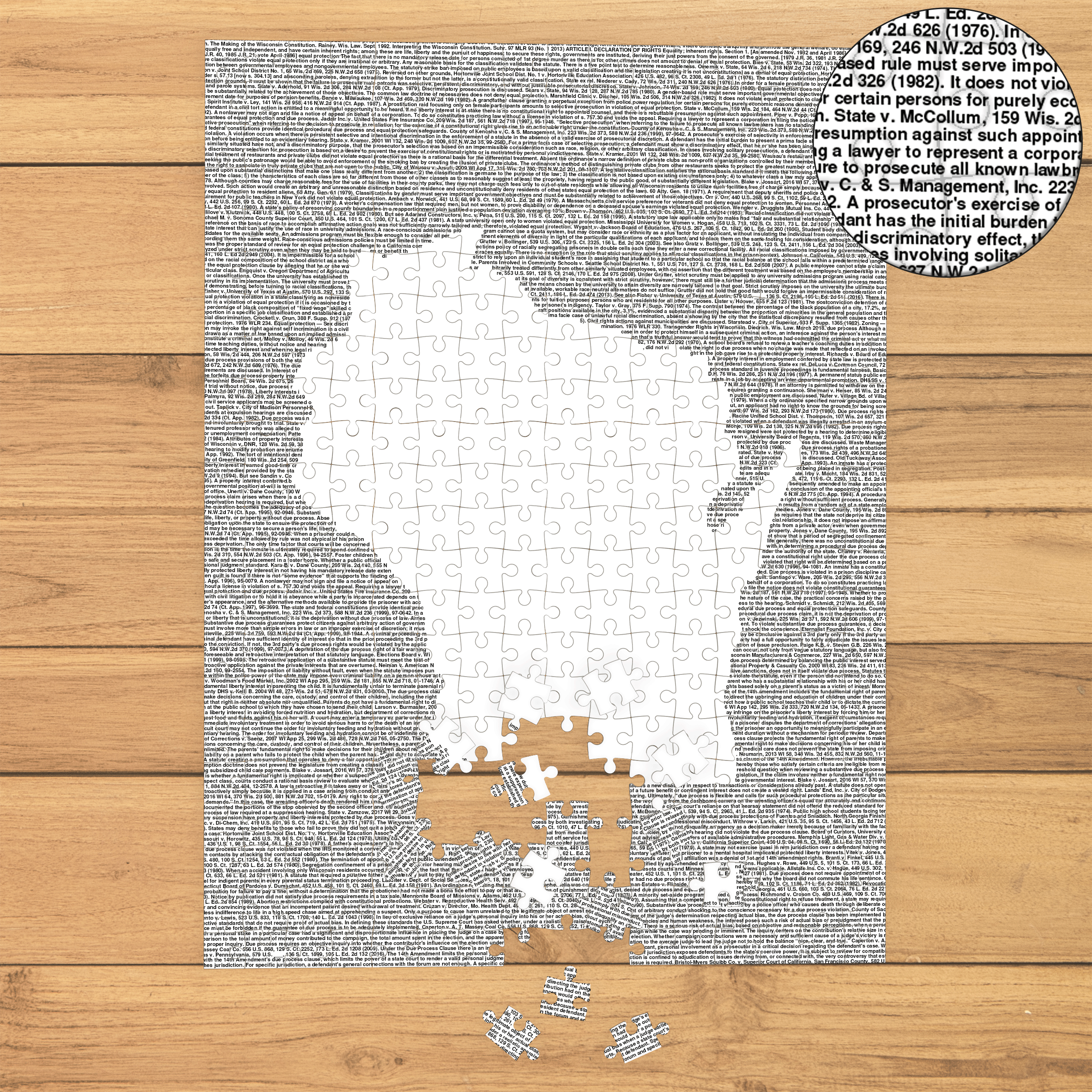 Litographs | Wisconsin's Constitution | Book Puzzle