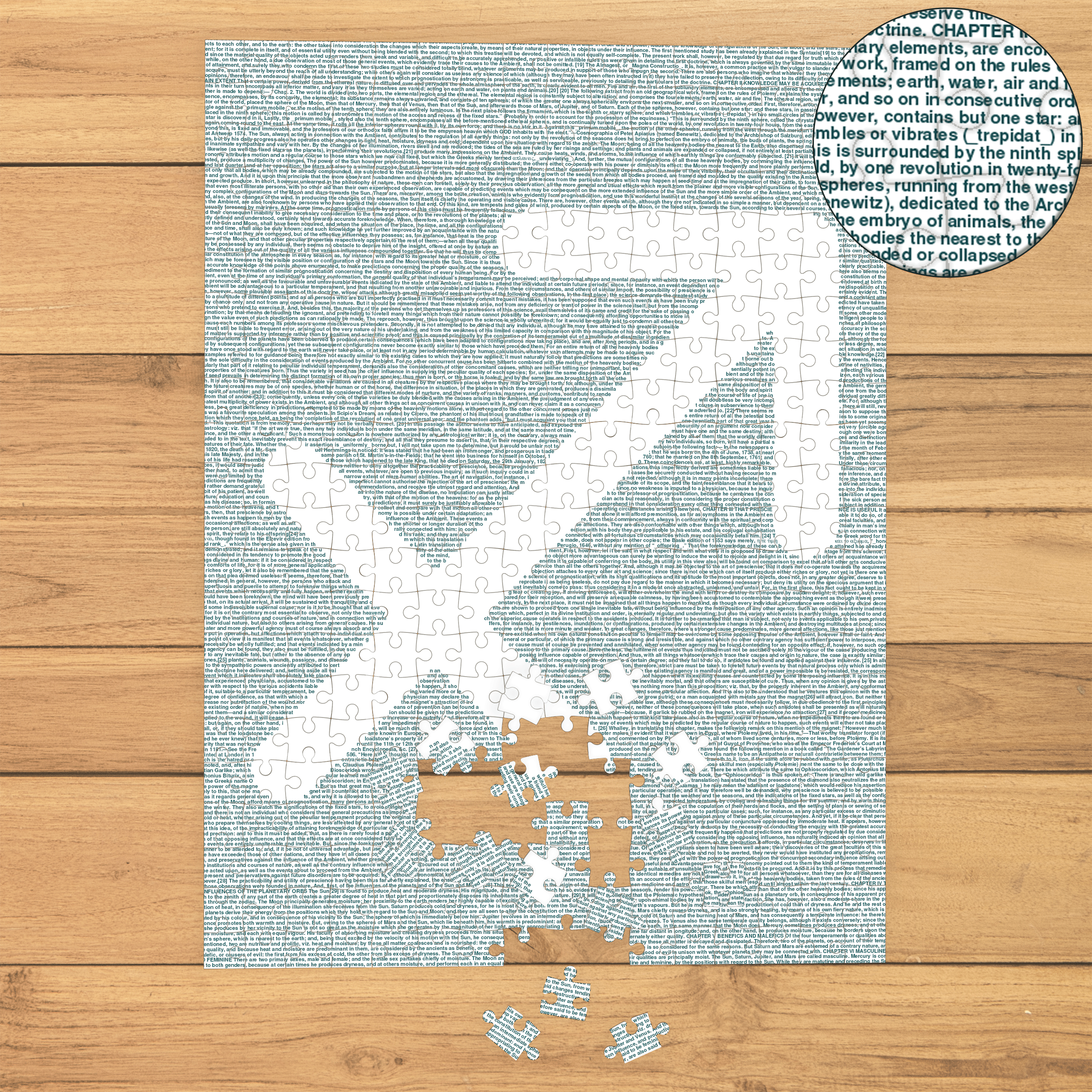 Litographs | Zodiac Signs: Sagittarius | Book Puzzle