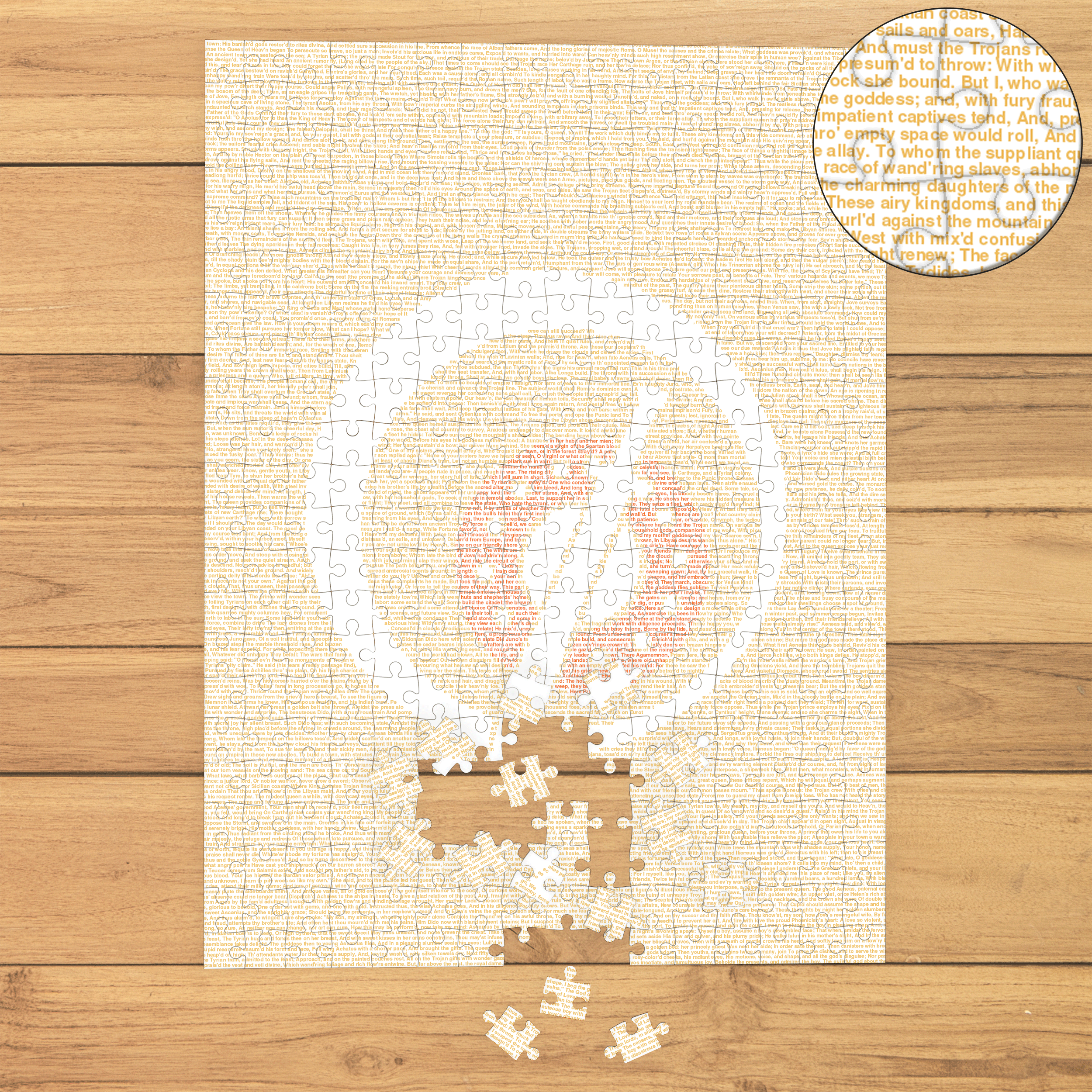 Litographs | The Aeneid | Book Puzzle