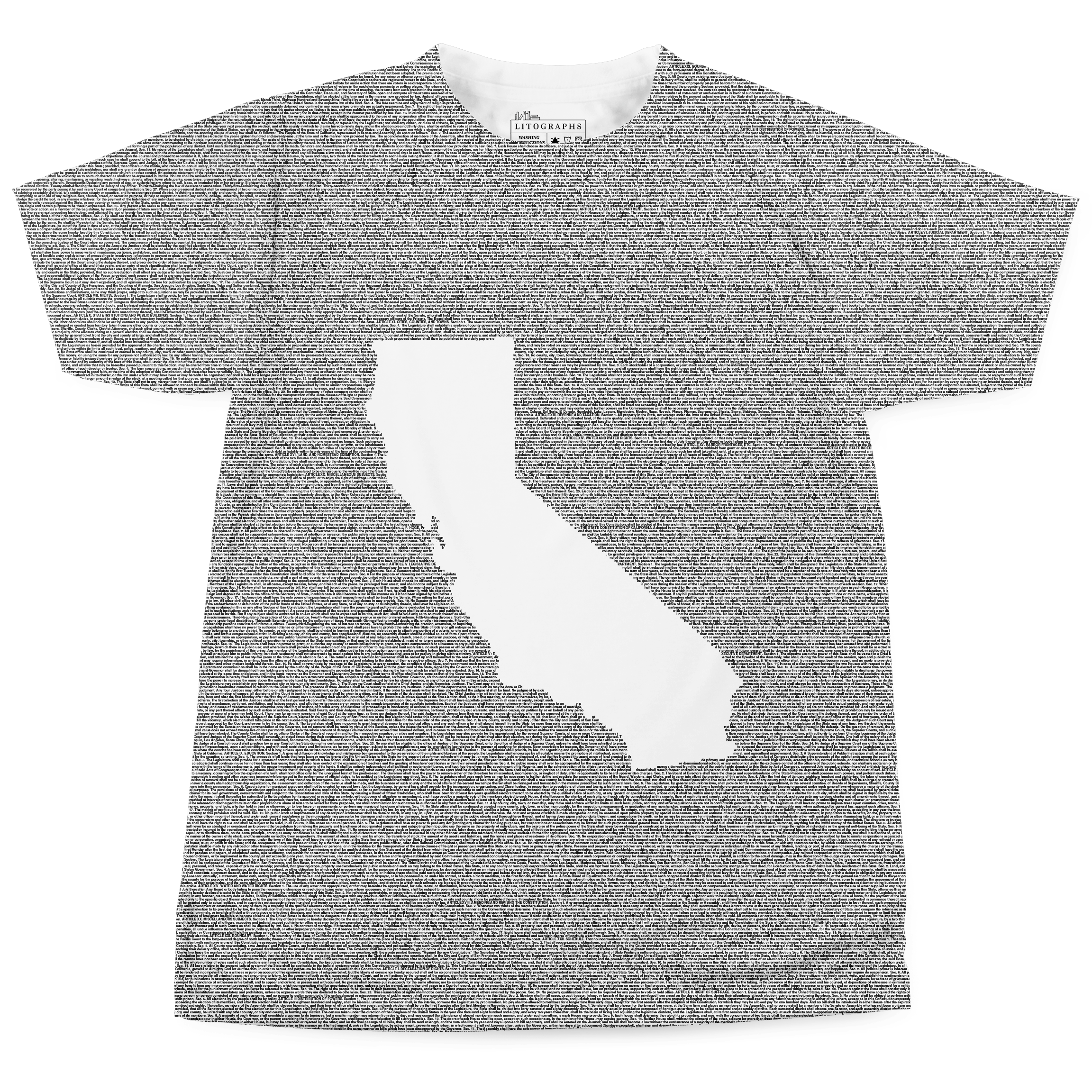 Litographs | California's Constitution | Book T-Shirt