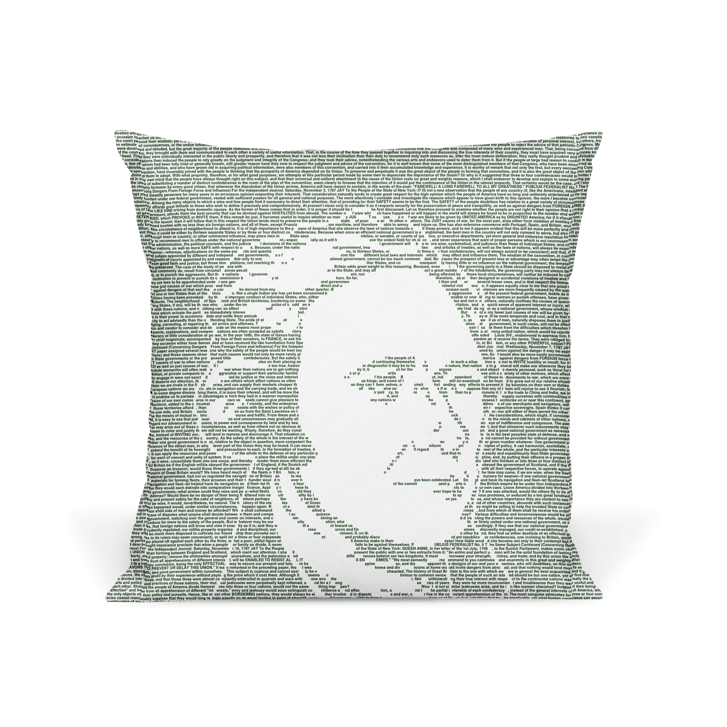 Litographs | The Federalist Papers | Book Pillow