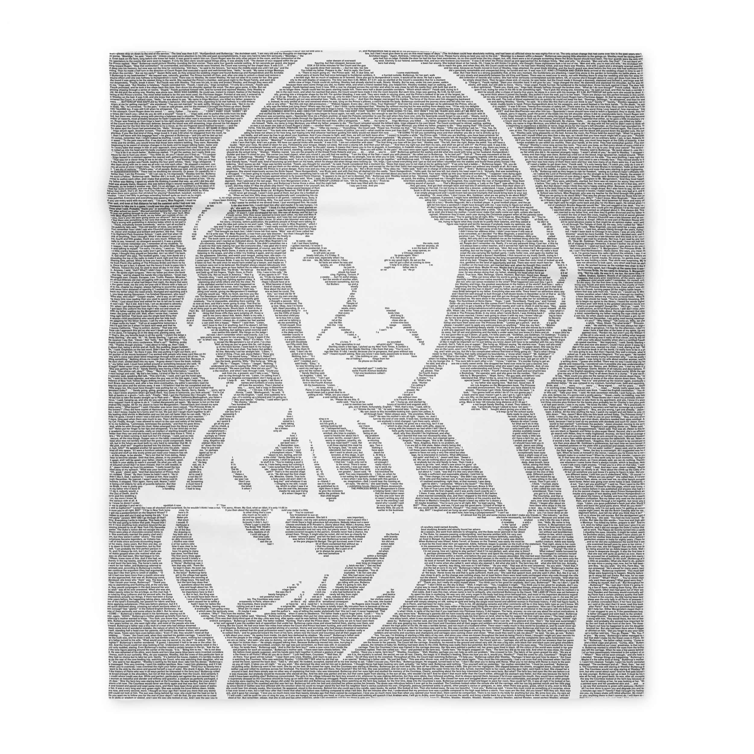 Litographs | The Princess Bride | Book Blanket