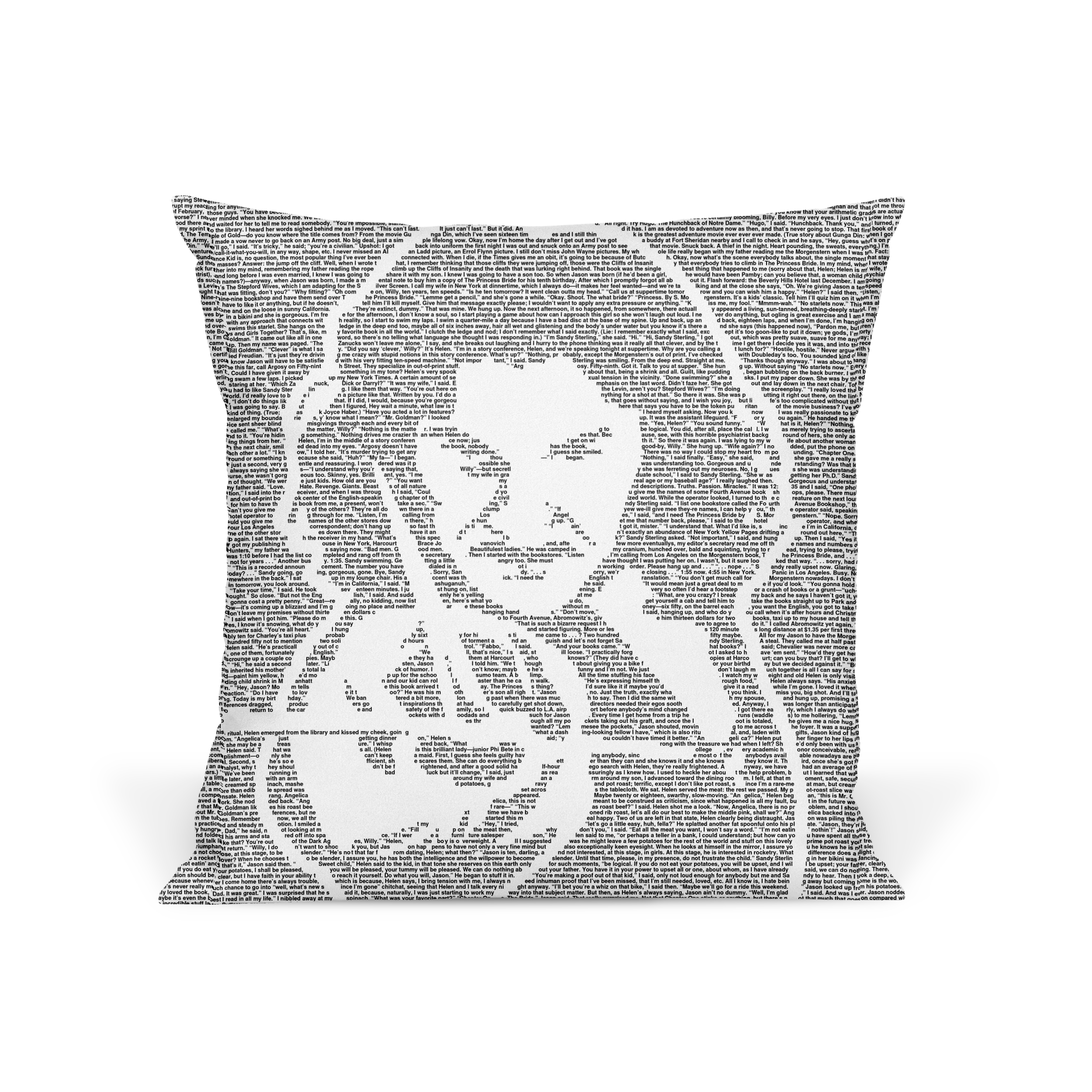 Litographs | The Princess Bride | Book Pillow