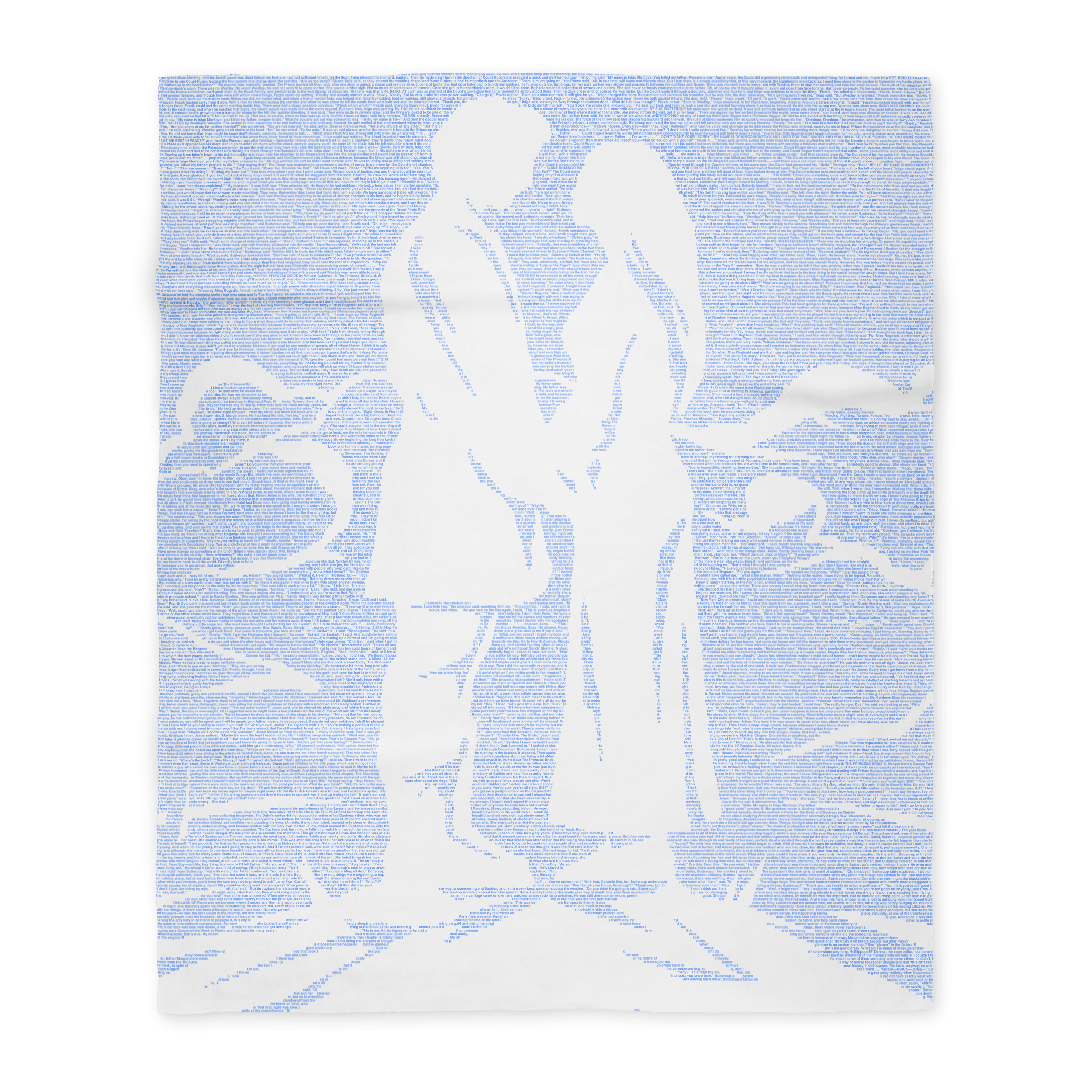 Litographs | The Princess Bride | Book Blanket