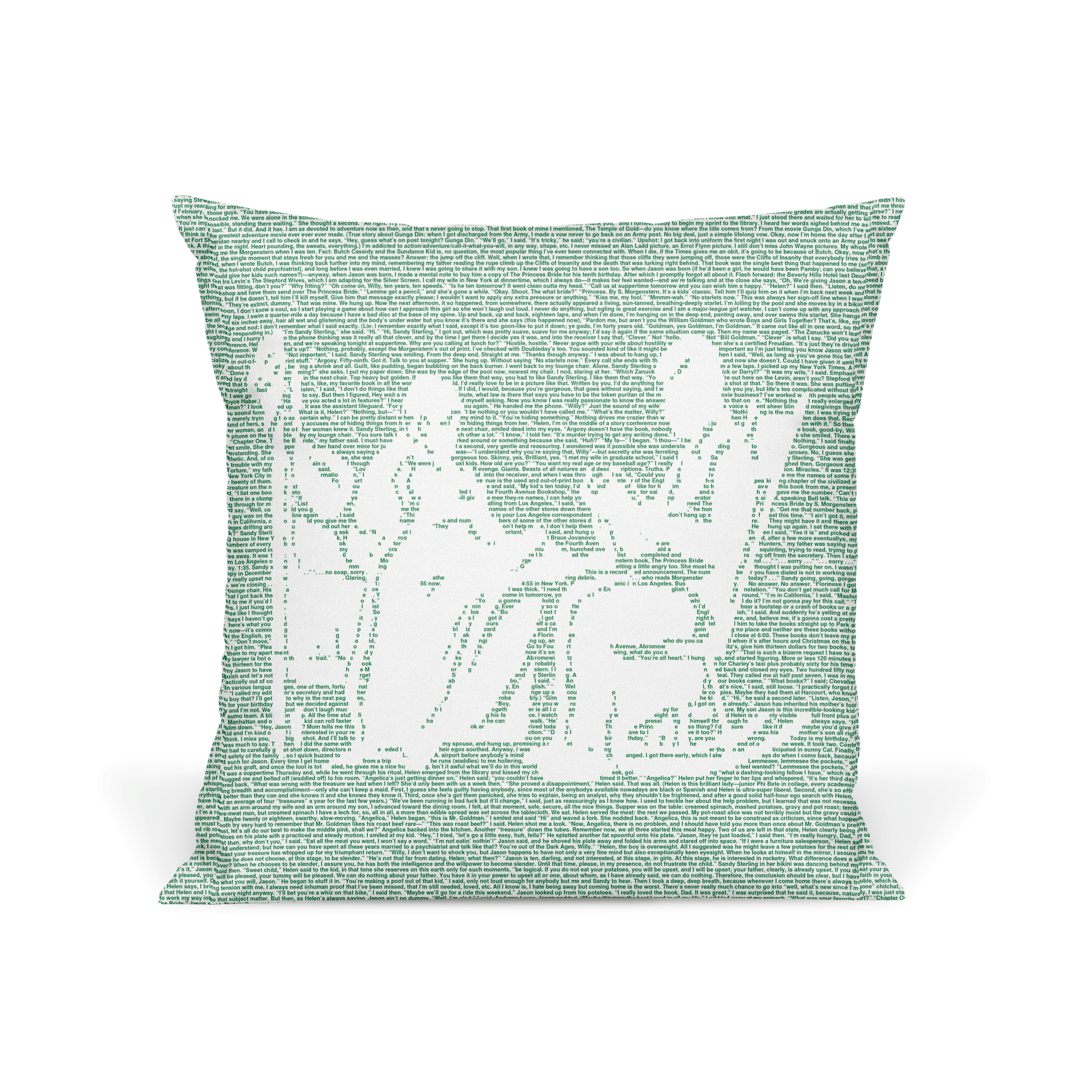 Litographs | The Princess Bride | Book Pillow