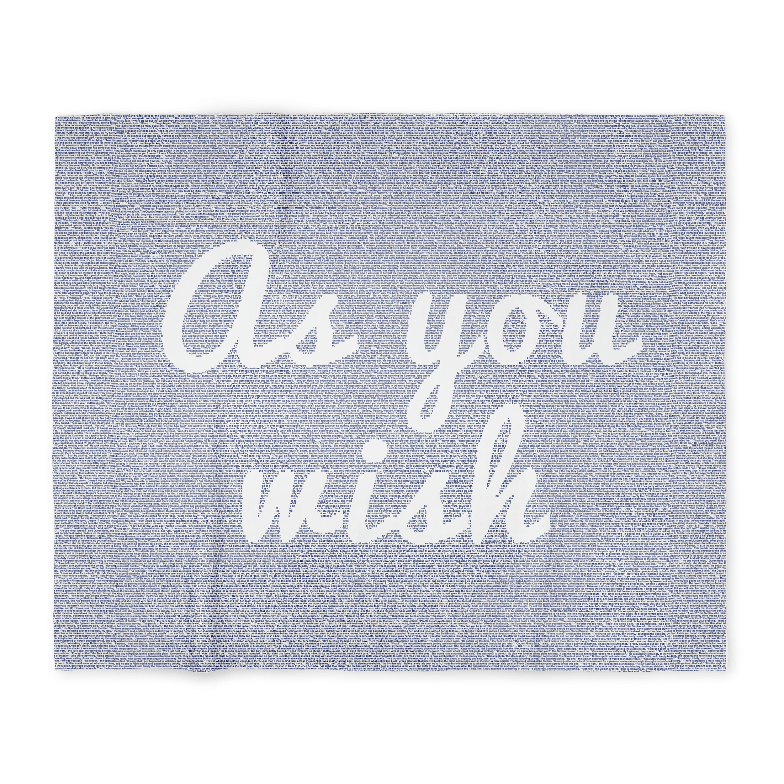 Litographs | The Princess Bride | Book Blanket