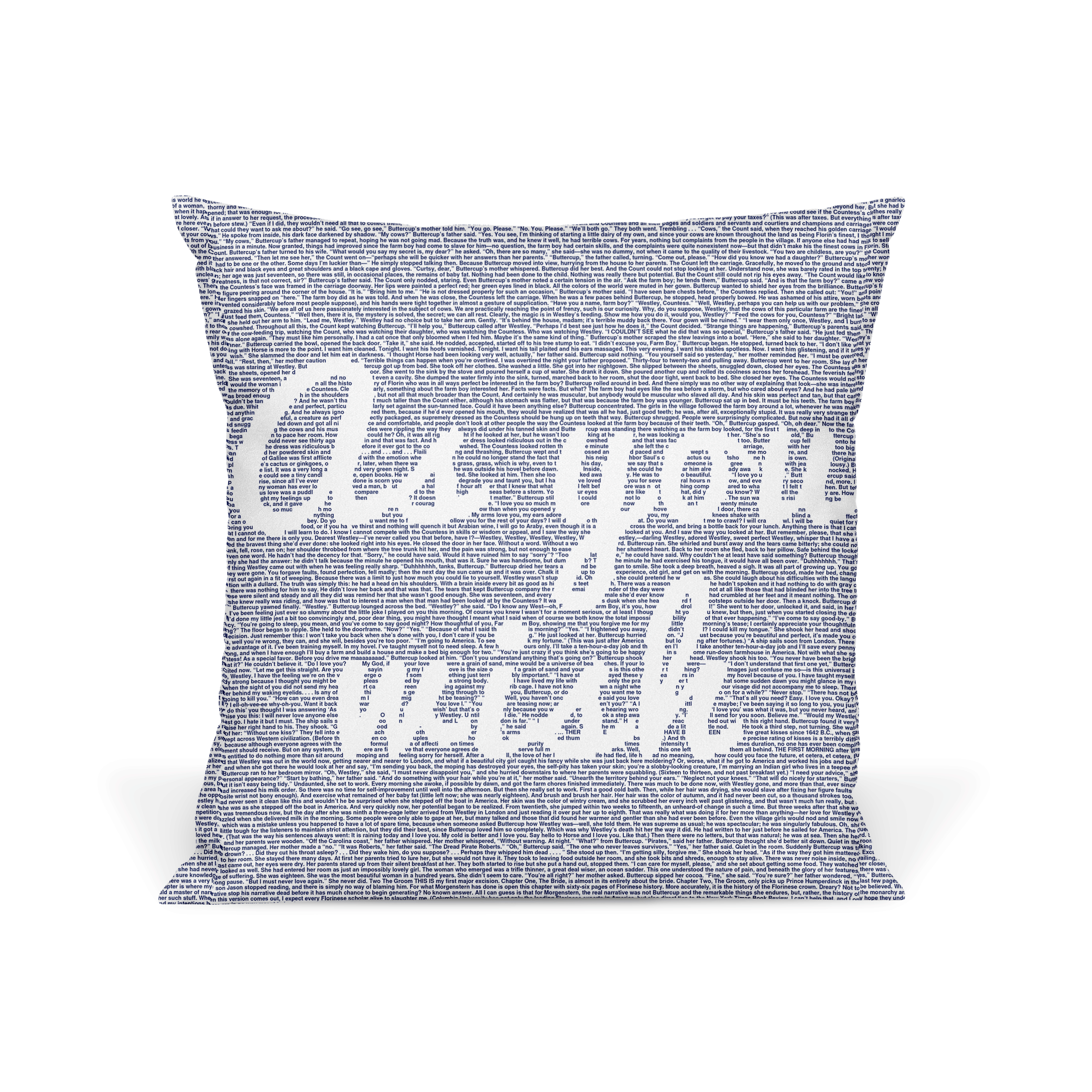 Litographs | The Princess Bride | Book Pillow