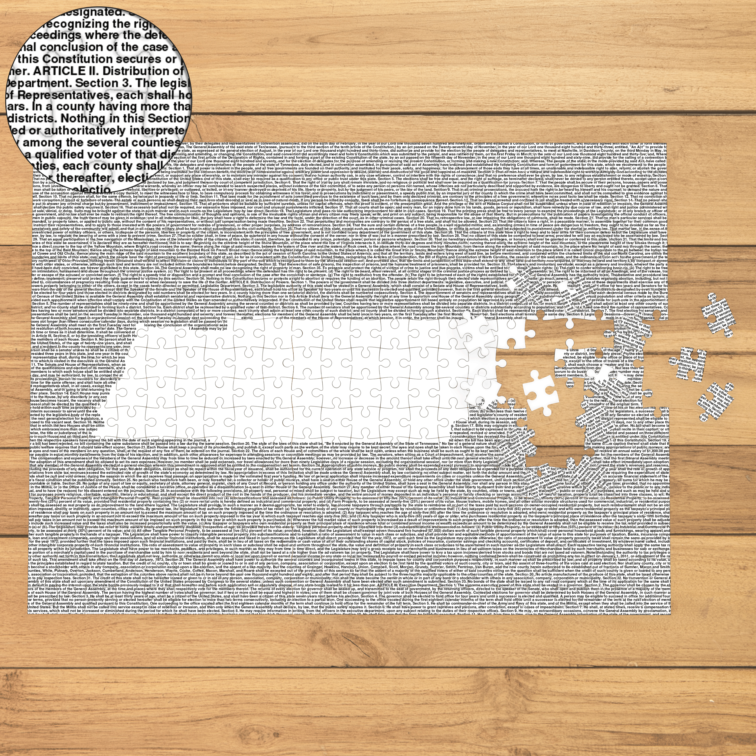 Litographs | Tennessee's Constitution | Book Puzzle