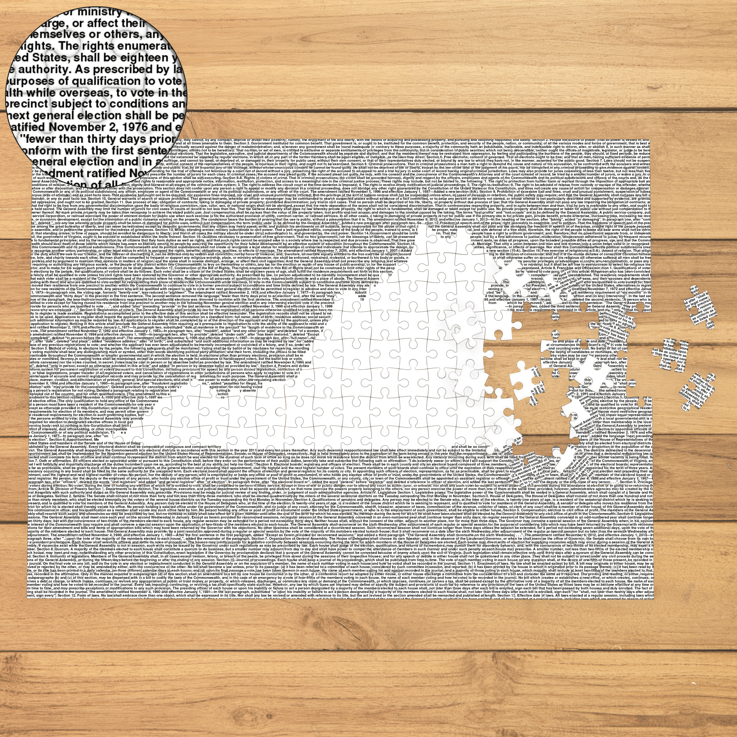 Litographs | Virginia's Constitution | Book Puzzle